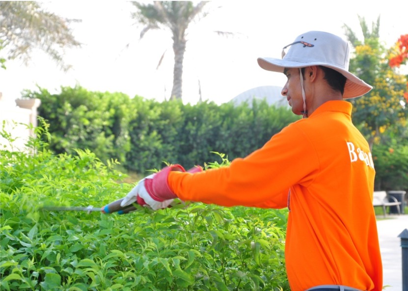 Contact Us & Get a Quote Today - Basatin Landscaping LLC UAE