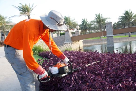 Client Testimonials - Basatin Landscaping LLC UAE