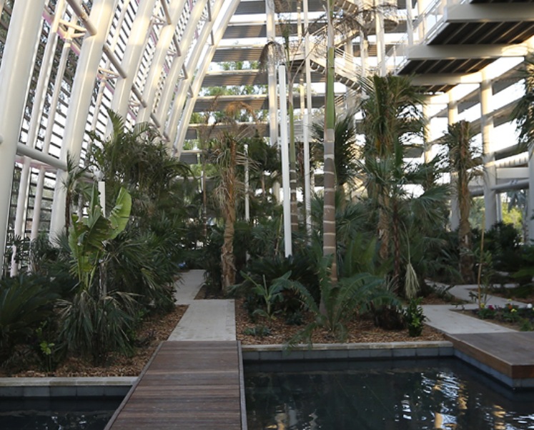 Basatin – Sustainable Landscaping Solutions